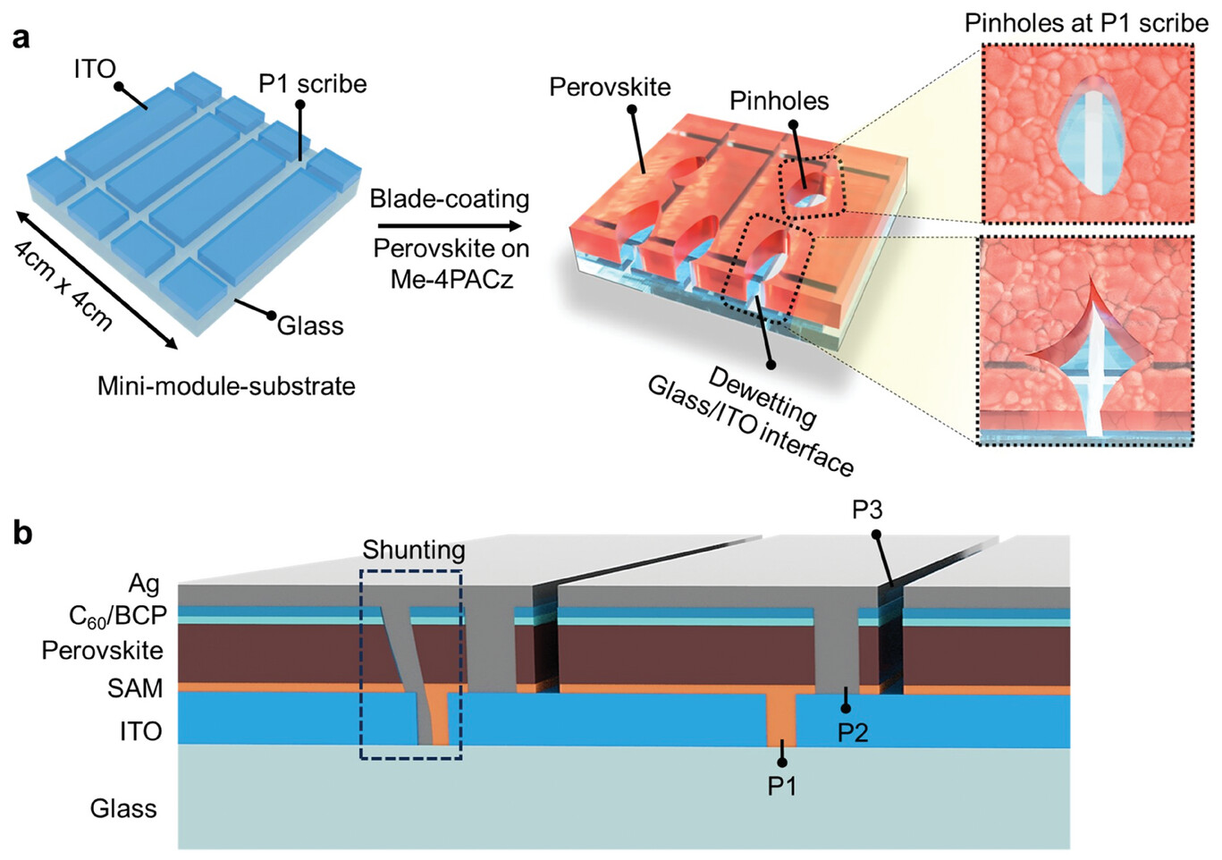 Resolving Scaling Issues in Self-Assembled Monolayer-Based Perovskite ...
