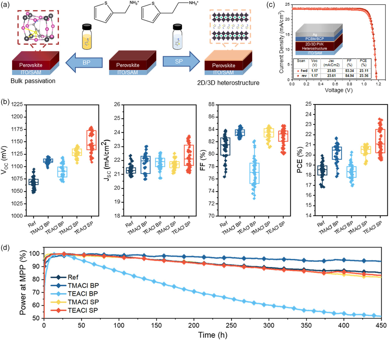 Unraveling Bulk versus Surface Passivation Effects in Highly Efficient ...