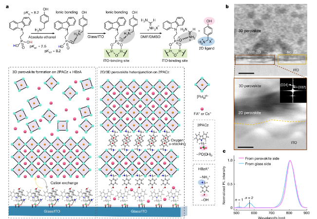 Double-side 2D/3D heterojunctions for inverted perovskite solar cells