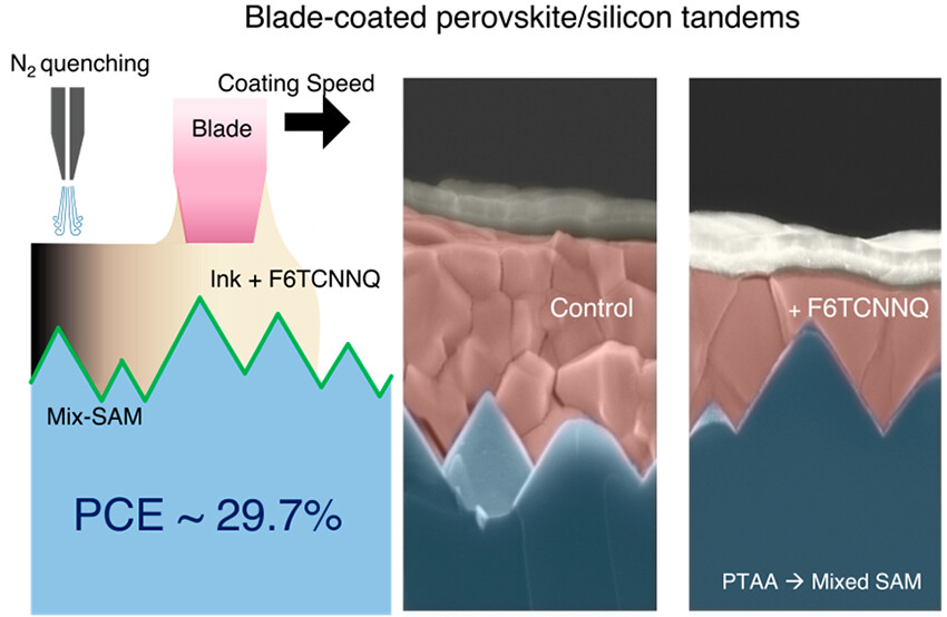 Enhancing the Performance of Blade-Coated Perovskite/Silicon Tandems via Molecular Doping and ...