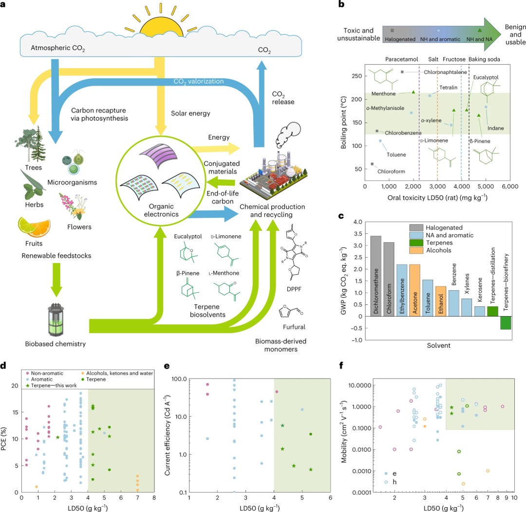 High-performing organic electronics using terpene green solvents from ...