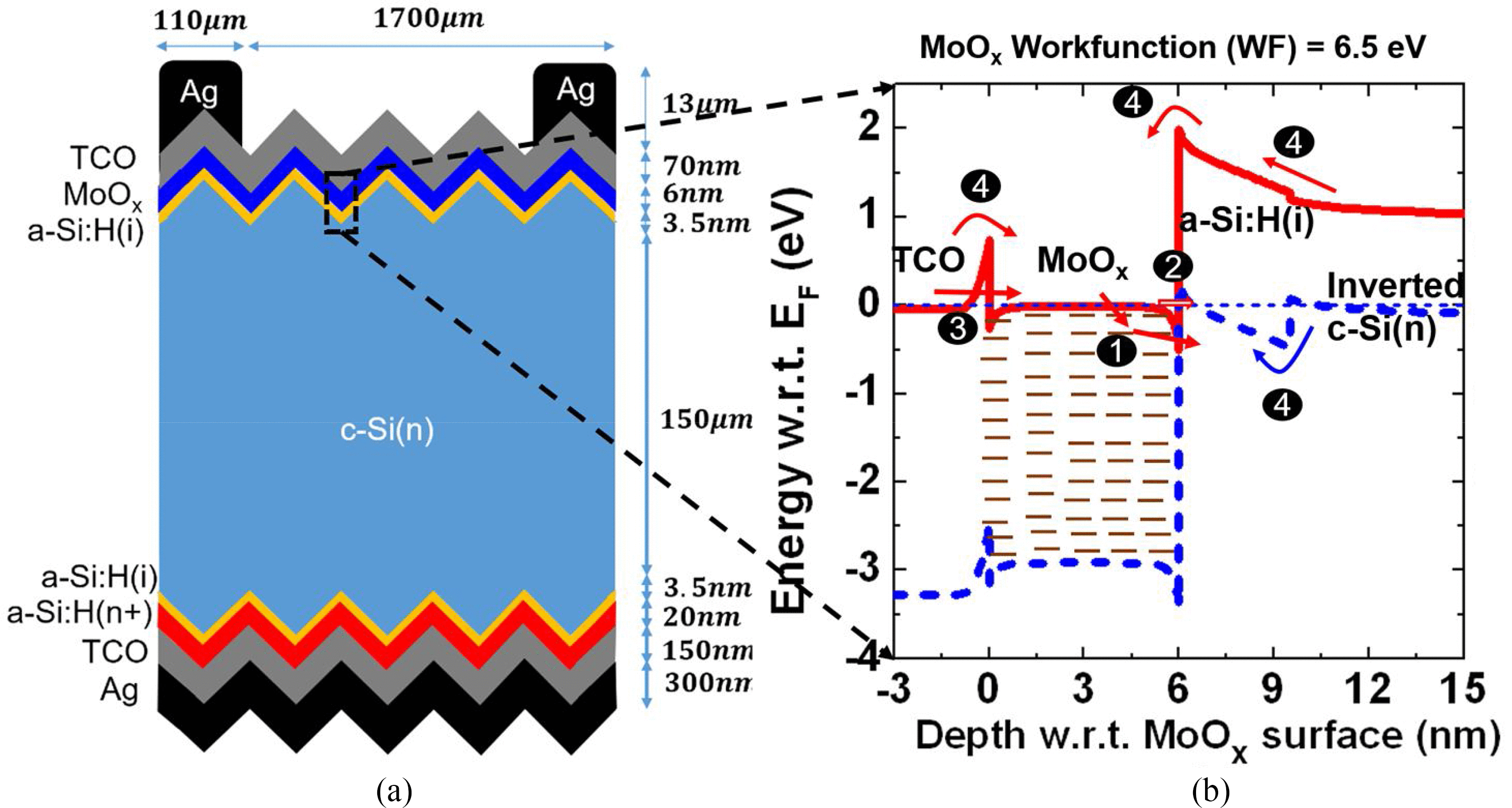 Hole-Collection Mechanism in Passivating Metal-Oxide Contacts on Si ...