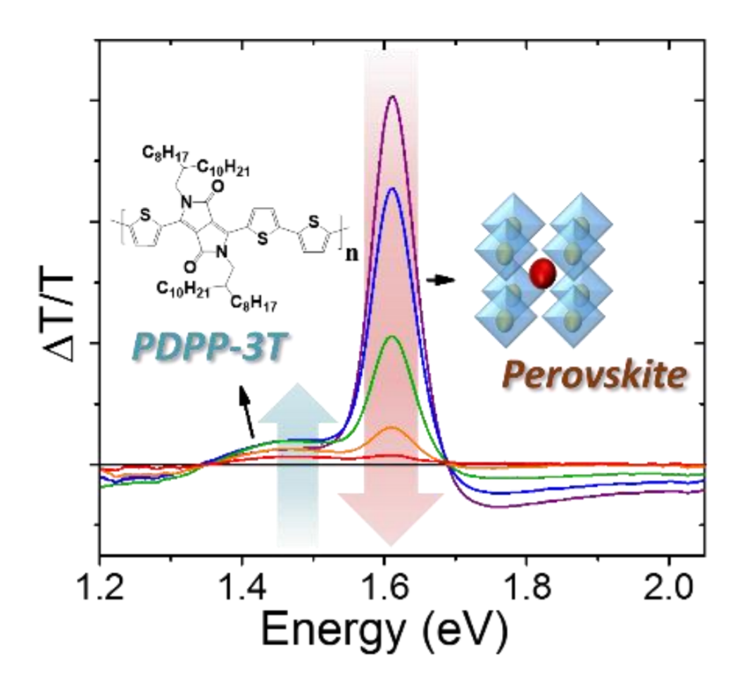 Carrier Extraction from Perovskite to Polymeric Charge Transport Layers ...